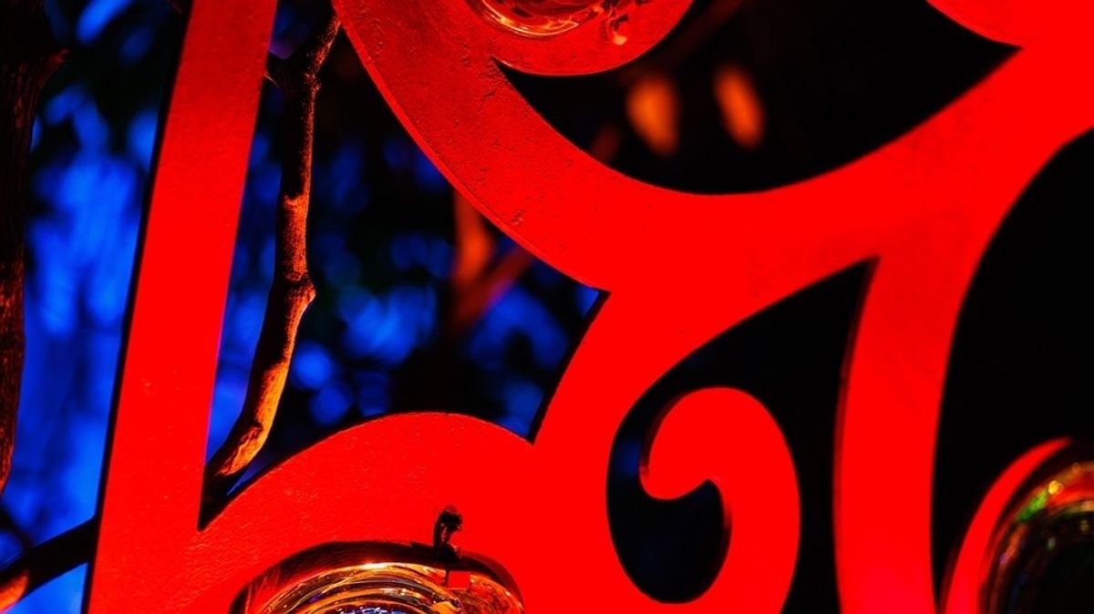 Flora Luna Transforms Rock City Nights with Art, Music, and Local ...