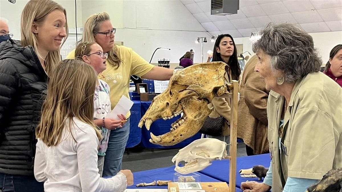 Fossils, Jewels, and Family Delights
