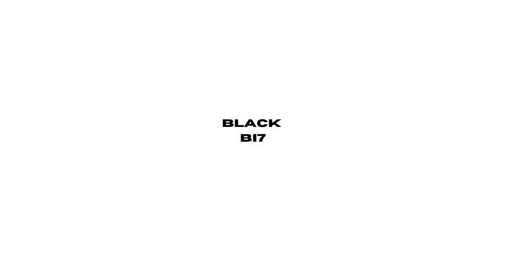 Black Bi7: A Decade of Innovation in the Digital Landscape