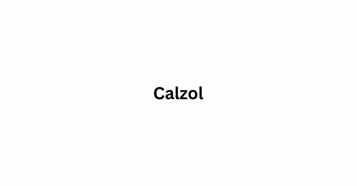 Calzol’s Business Training Programs Help Entrepreneurs Unlock Their ...